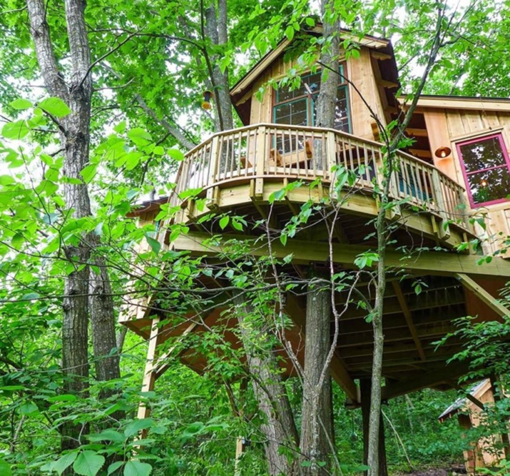 Bird House Inspired Tree House Idea - defve